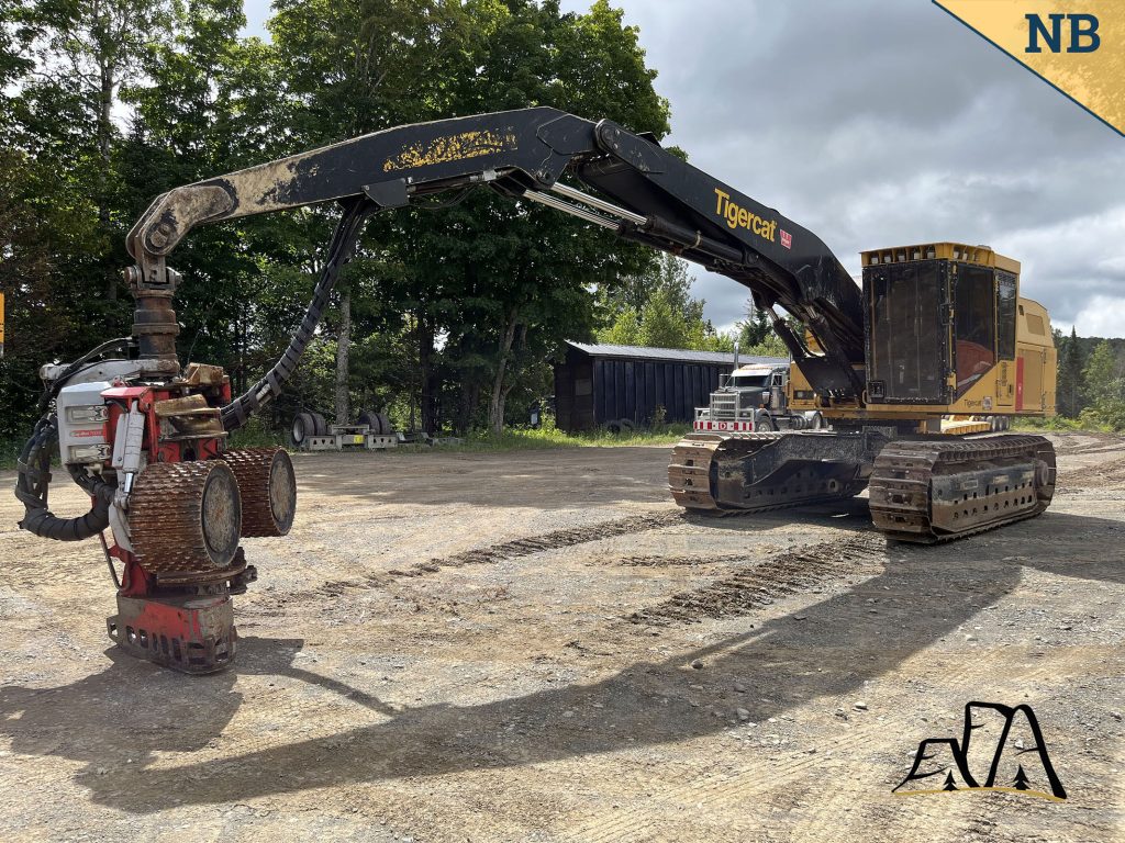 Forestry – Eastern Frontier Atlantic